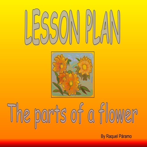 Lesson Plan project | PPTX