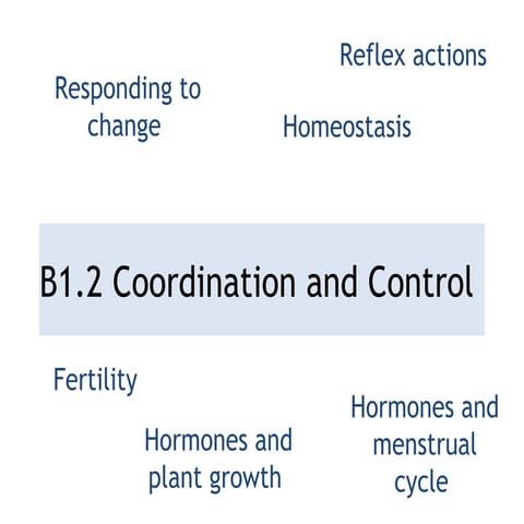 B1.2 -coordination_and_control | PPT