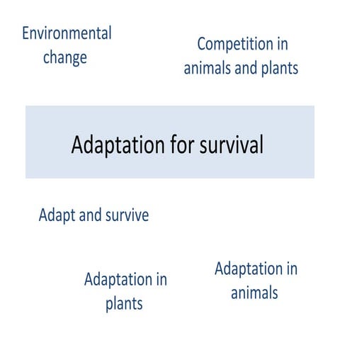 B1.4 -_adaptation_for_survival | PPT