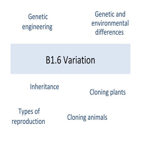 B1.6 -_variation | PPT