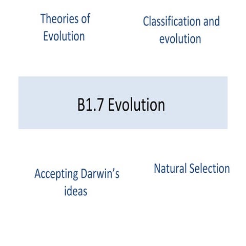 B1.7 -_evolution | PPT