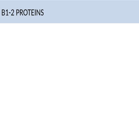 Proteins, structure, function, applications | PPT