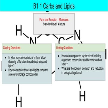 B1.1 Carbs and Lipids.pptx for DP Biology studenst | PPTX