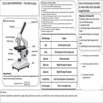B1 - Cells and Respiration.pptx