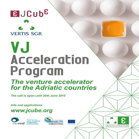 Flyer Acceleration program web | PDF | Venture Capital | Business ...