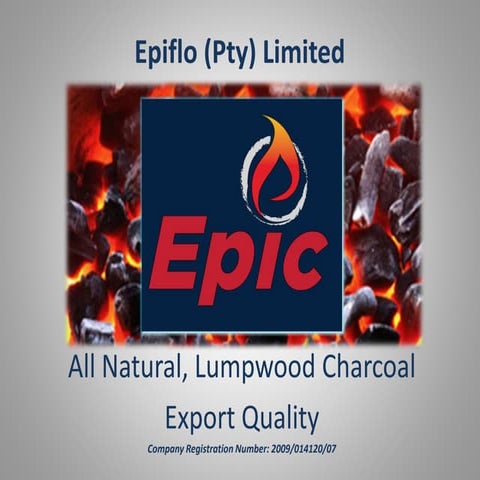 Epiflo (Pty) | PPT
