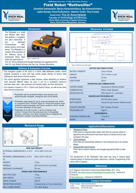 Work Experience | PDF