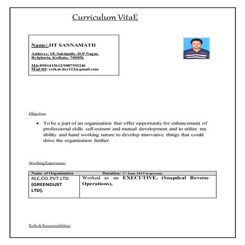 CV Format | PDF