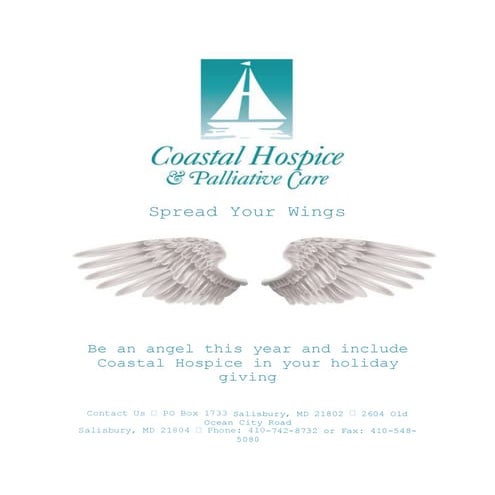 coastal hospice print ad | DOCX