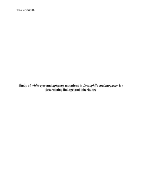 Fruit Fly Genetics lab report | DOCX | Genetics | Science