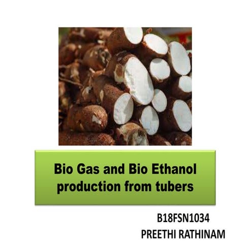 BIOGAS AND BIOETHANOL FROM CASSAVA (TUBERS) | PPTX