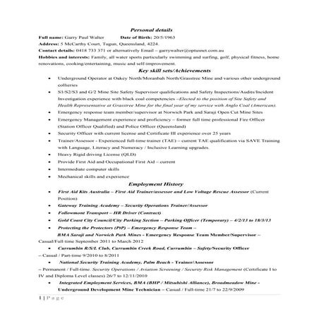 Harm Flik Resume | DOC