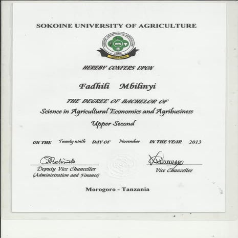 University Certificate | PDF