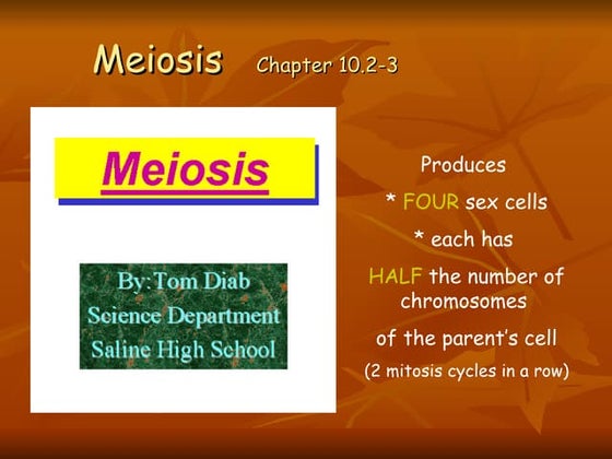 BIOL 103 MEIOSIS QUIZ | PDF | Infertility | Reproductive Health