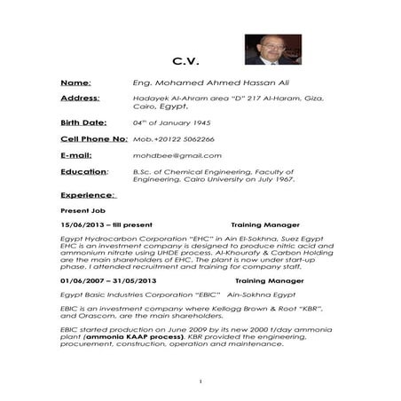 Mohamed Hassan CV 2 | PDF