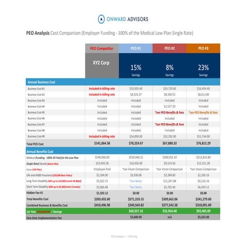 PEO Report - Financial Analysis | PDF