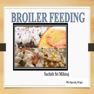 Broiler feeding | PPTX