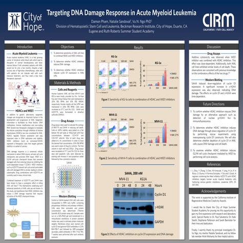 DamonPhamFINALPoster | PDF
