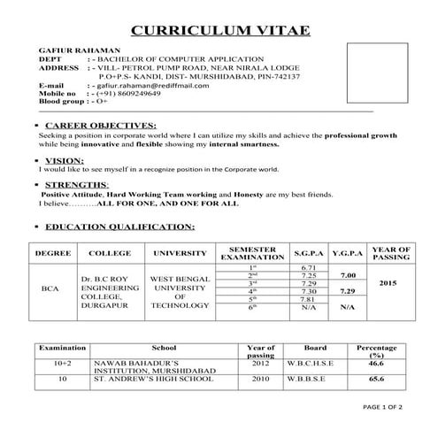 GAFIUR CV | DOC | Programming Languages | Computing