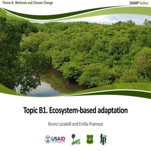 B1_Ecosystem-based_adaptation.ppt