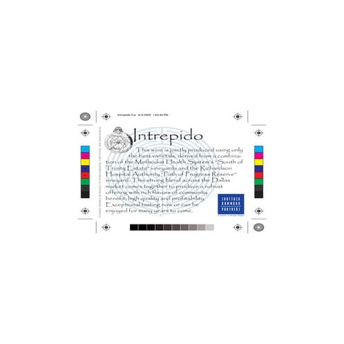 Intrepido II | PDF | Alcoholic Beverages | Food & Drink