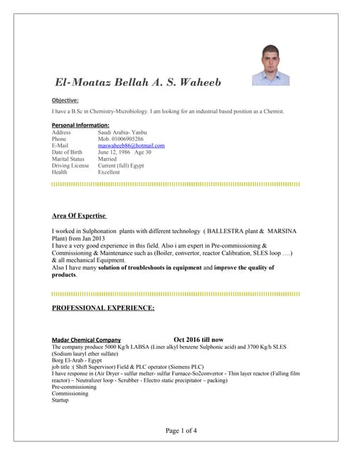 ABDELMAGIED C.V | DOCX