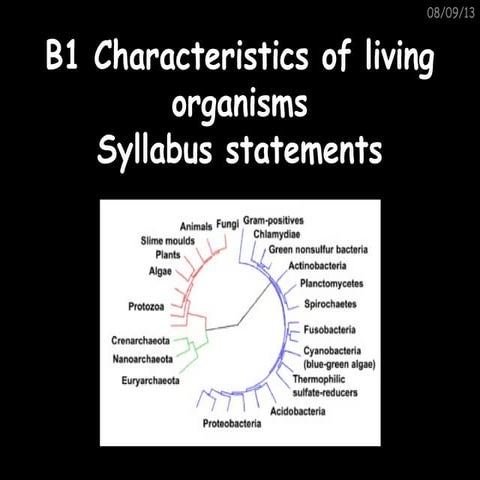 Characteristics of Living Things | PPT
