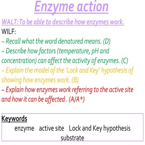 C:\Users\Kerry\Desktop\Career Switcher\Enzymes\Superhero Flip Book ...