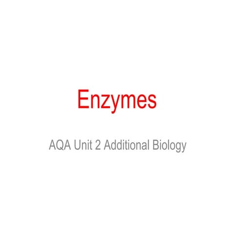 B2.5 proteins enzymes | PPT