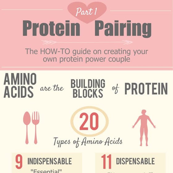 Guide to Protein Pairing Infographic - Part 3 | PDF