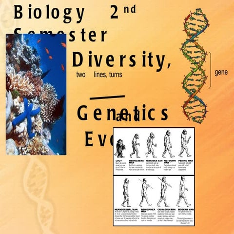 B21 big ideas protein synthesis ppt | PPT