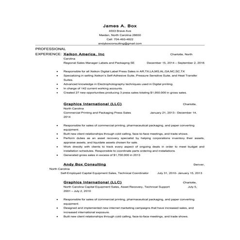 Garrison - Lego Resume | DOCX
