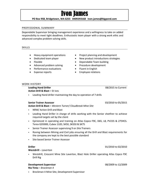 Dirk de Hamer Resume 2015 | DOCX | Scuba Diving | Extreme Sports