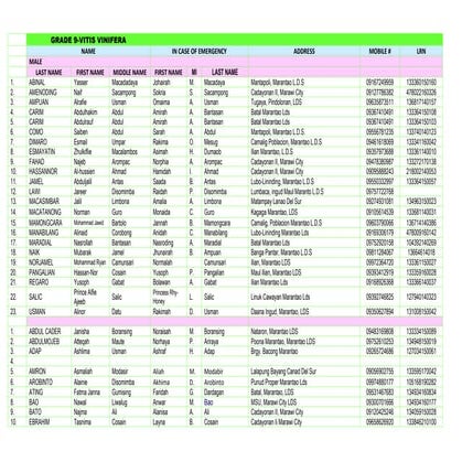 B2425 ID Form excel G9 VV (2024-2025).docx
