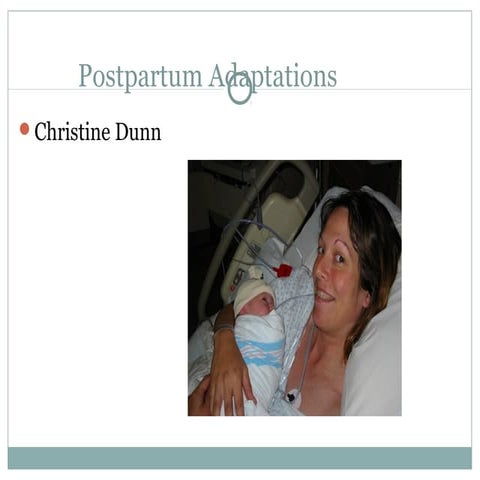 B24postpartum | PPT