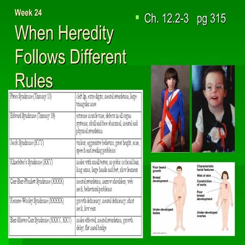 Microscope powerpoint | PPT