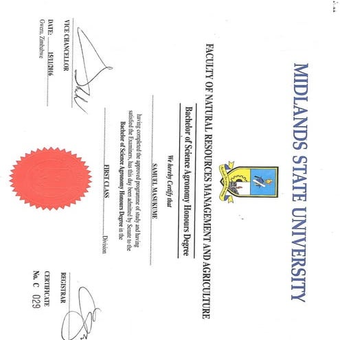MSU Certificate | PDF