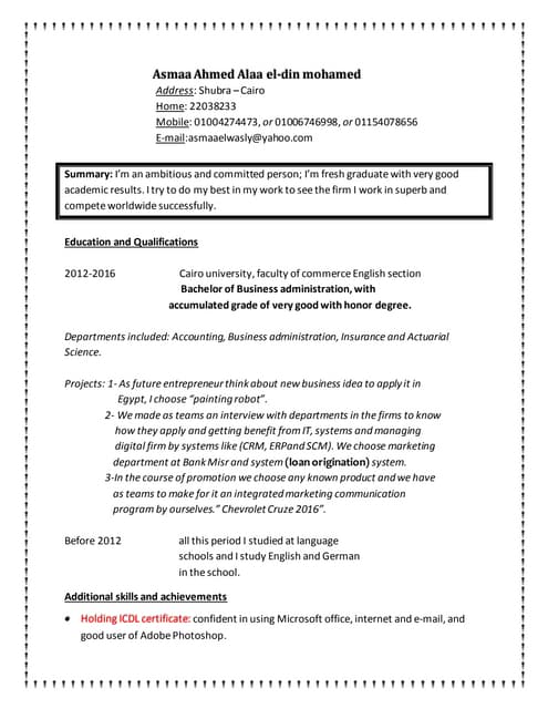 Osama Khalid Saber cv | PDF