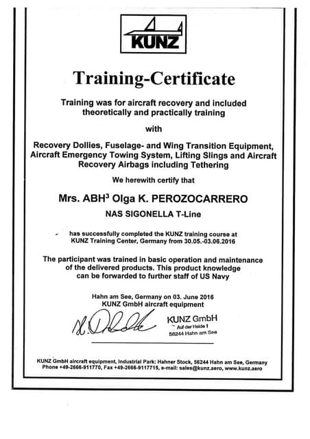 Security Reaction Force Basic | PDF