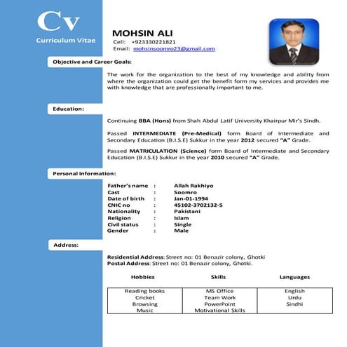 PROFESSIONAL CV | DOCX