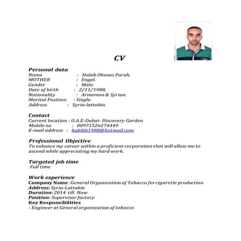 CV- en | DOCX