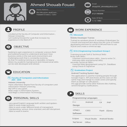 Mohamed mohsen cv | PDF