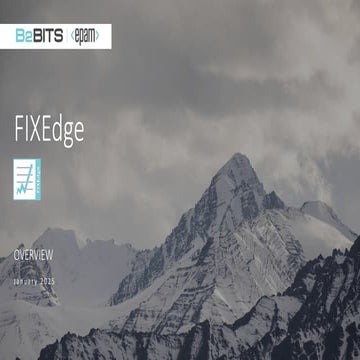 B2Bits Client Connectivity Hub (FIXEdge) | PDF