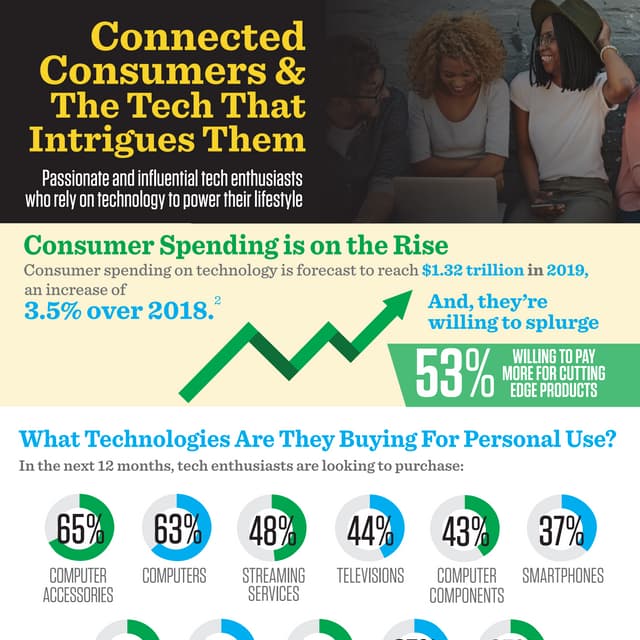 2020 B2C Audience Portait Infographic | PDF