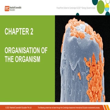 Cambridge IGCSE Biology Cells Structures & Functions.pptx