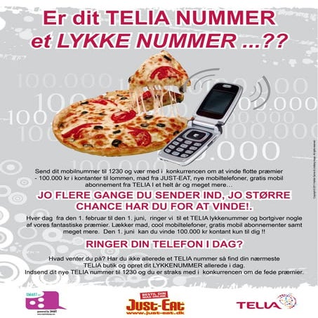 TELIA.DK