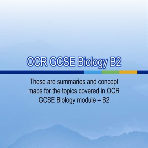 B2 OCR Biology concept maps and summaries | PPTX