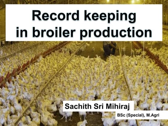 Broiler feeding | PPTX