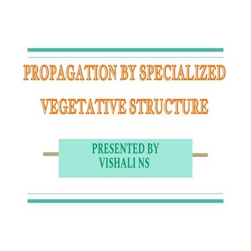 PROPAGATION BY SPECIALIZED VEGETATIVE STRUCTURE.pptx