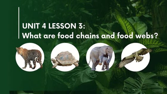 Sample lesson plan in science VI with 5 e's | PDF